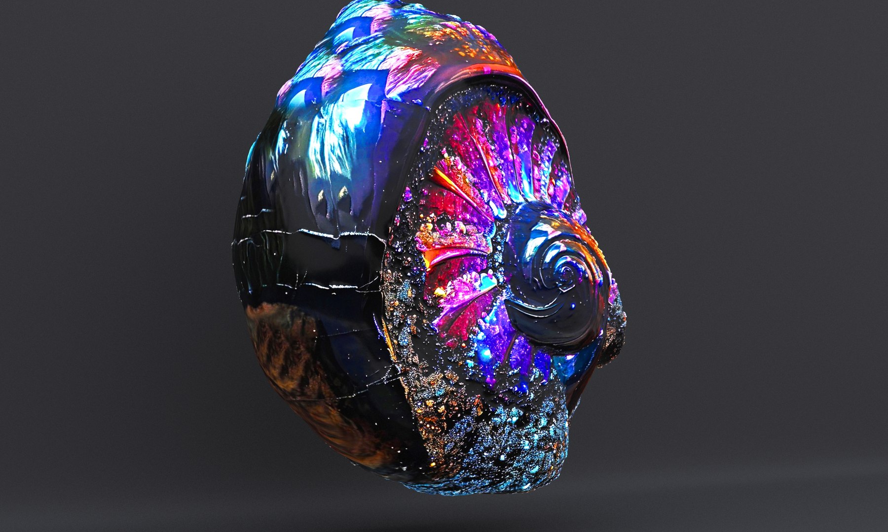 Colorfull Seashell Pack 3D model - TurboSquid 2176957