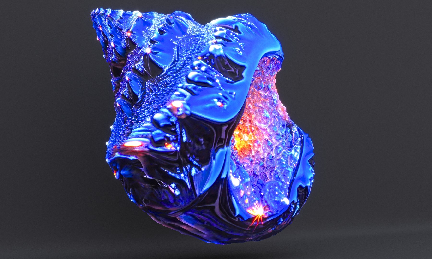 Colorfull Seashell Pack 3D model - TurboSquid 2176957