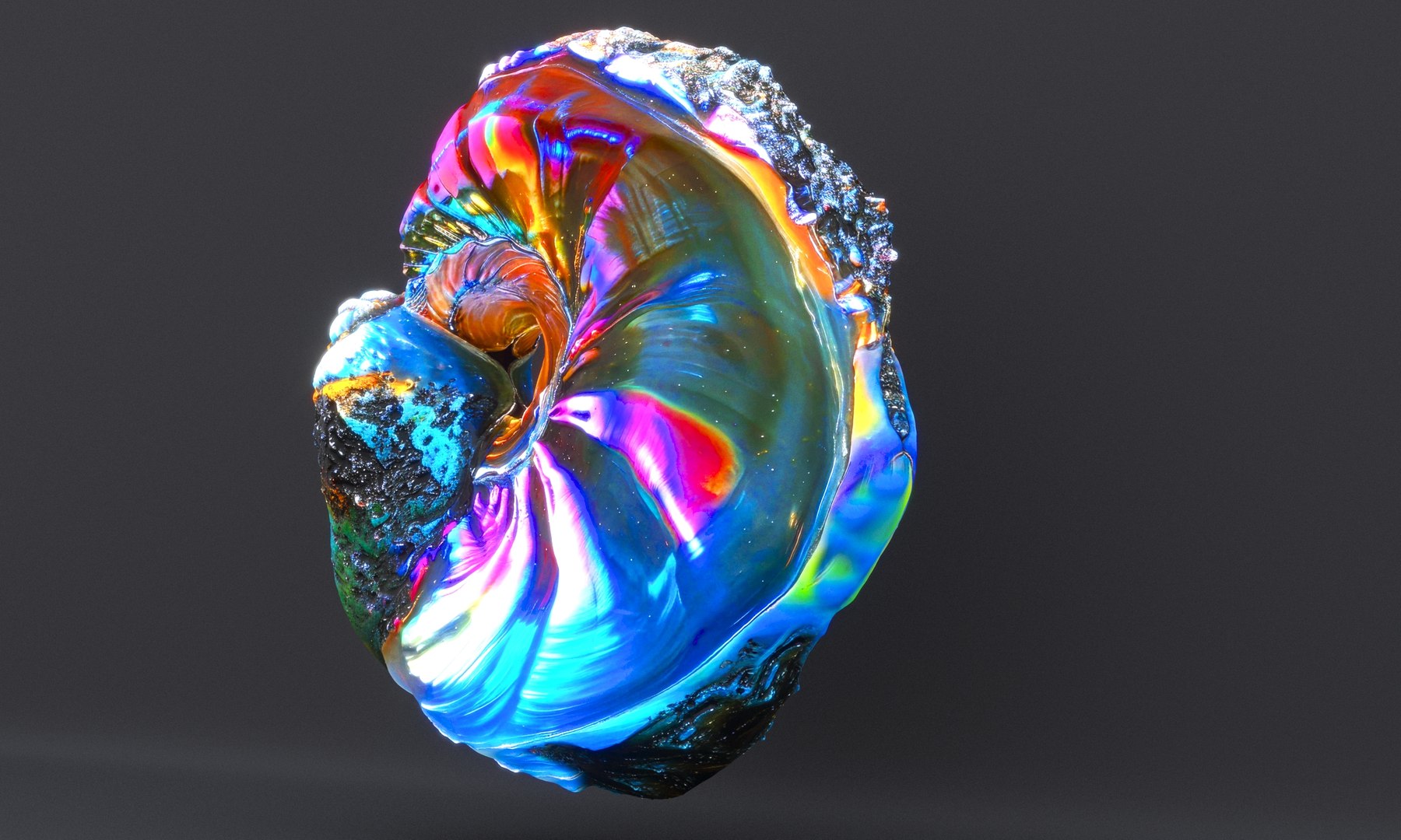 Colorfull Seashell Pack 3D model - TurboSquid 2176957