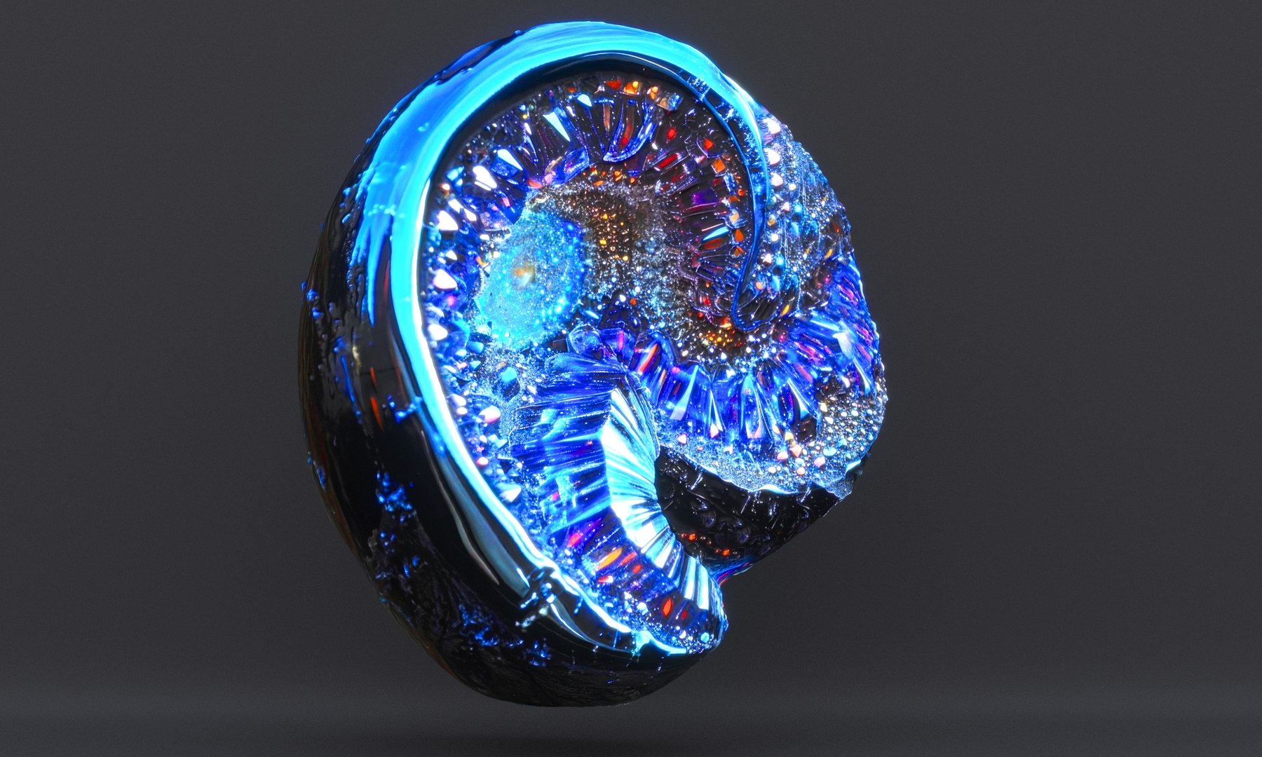 Colorfull Seashell Pack 3D model - TurboSquid 2176957