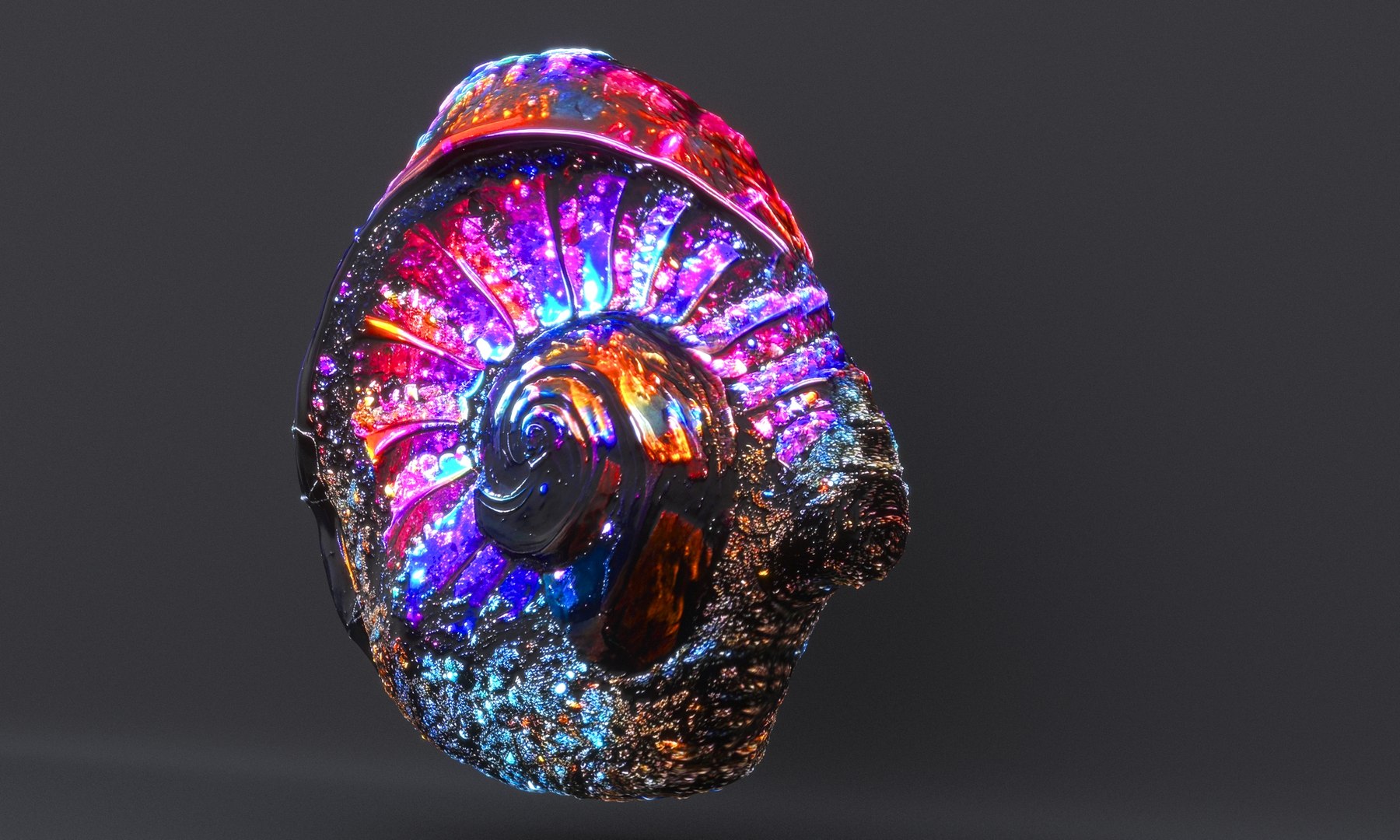 Colorfull Seashell Pack 3D model - TurboSquid 2176957