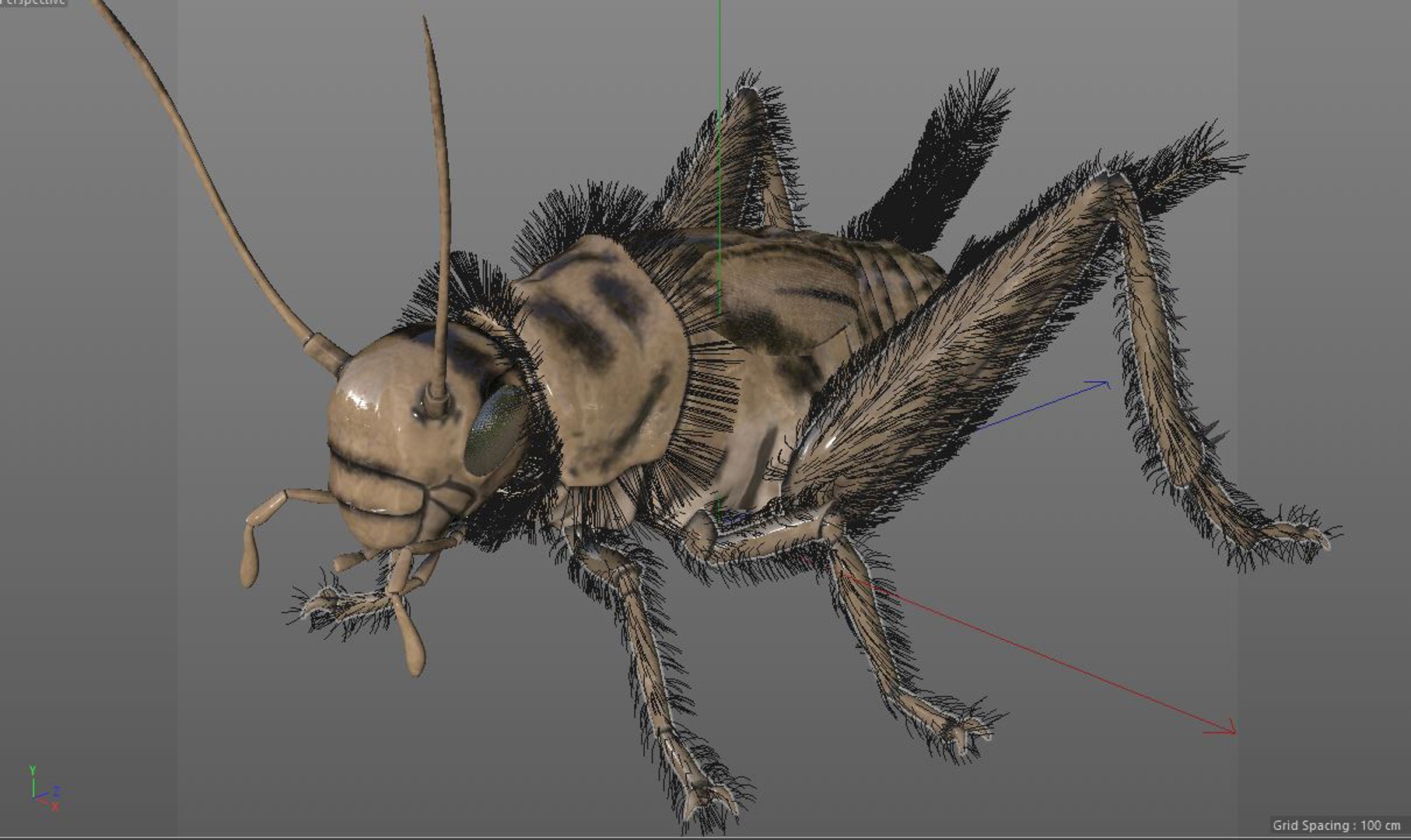 3D Rigged - TurboSquid 1537147