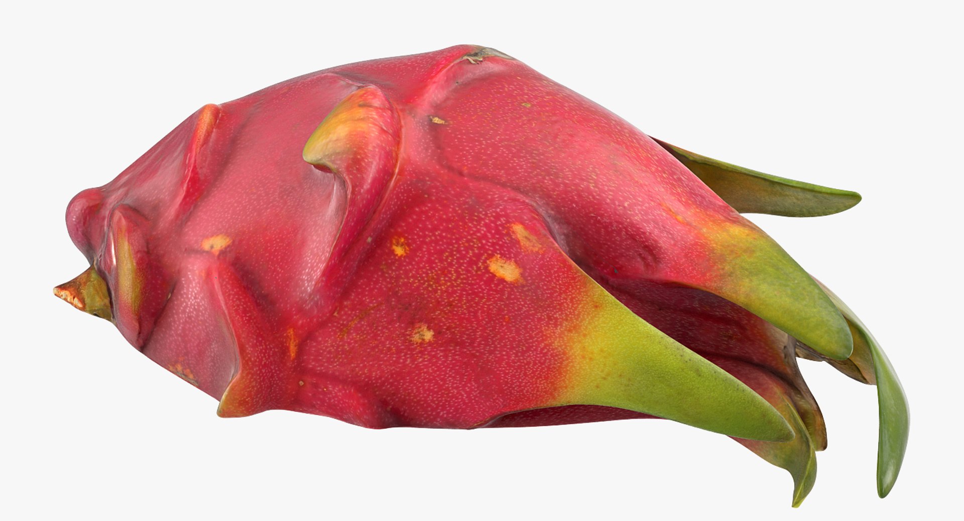 Cross section fruits 3 3D model - TurboSquid 1230108