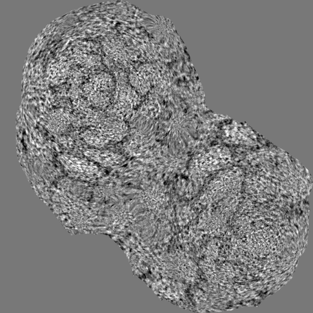 cinema4d microscope cell