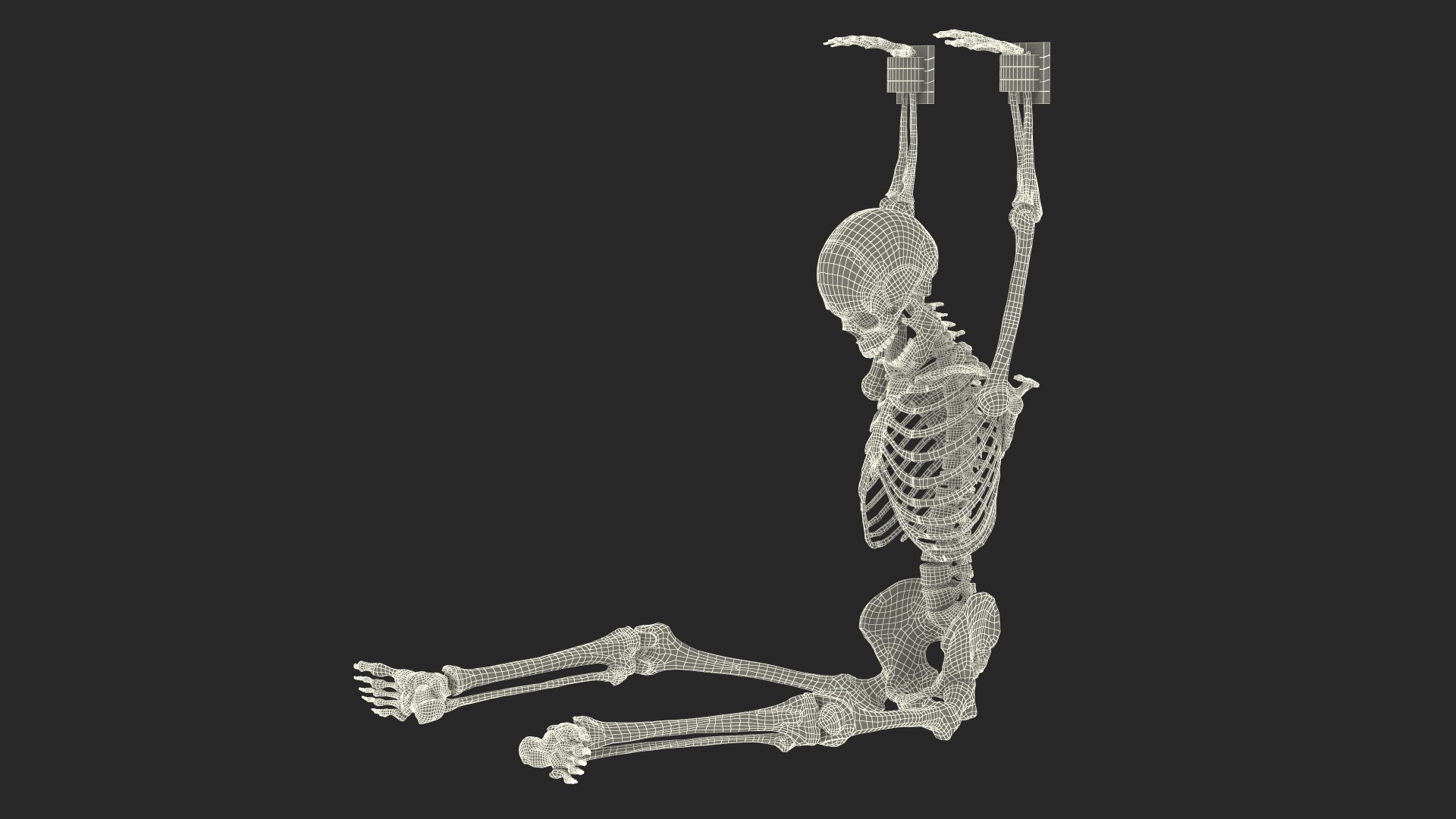 3D Human Male Skeleton Shackled - TurboSquid 2113266