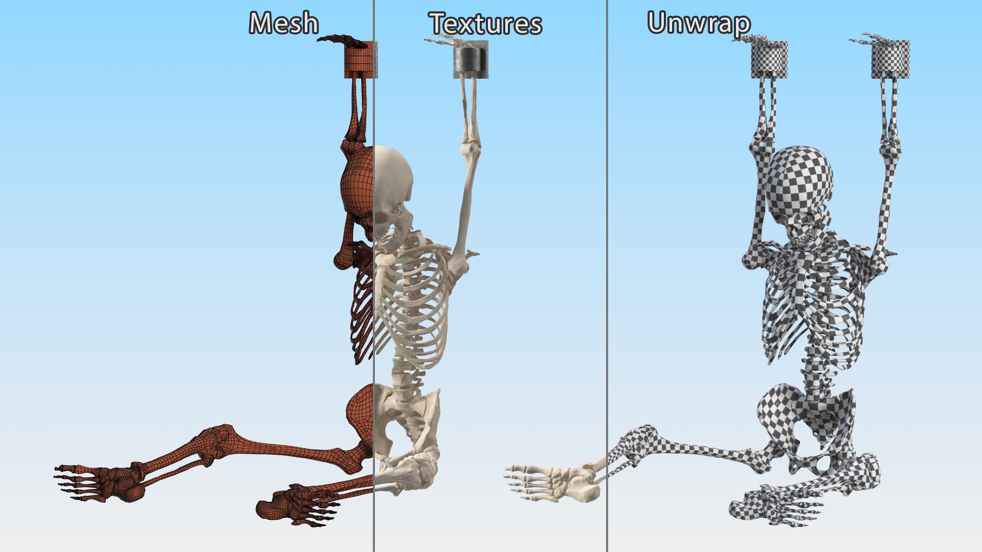 3D Human Male Skeleton Shackled - TurboSquid 2113266