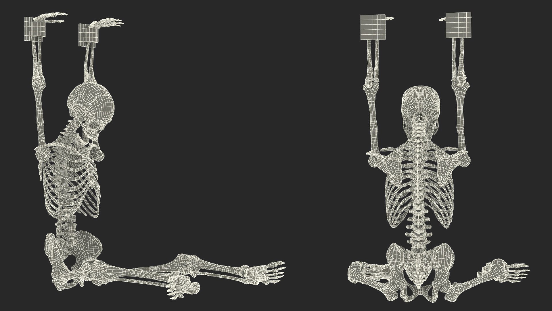 3D Human Male Skeleton Shackled - TurboSquid 2113266