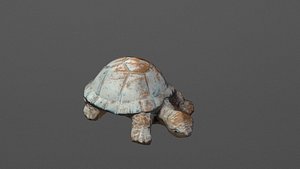 Blender Tortoises Models | TurboSquid