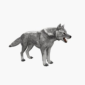 Wolf Cinema 4D Models for Download | TurboSquid