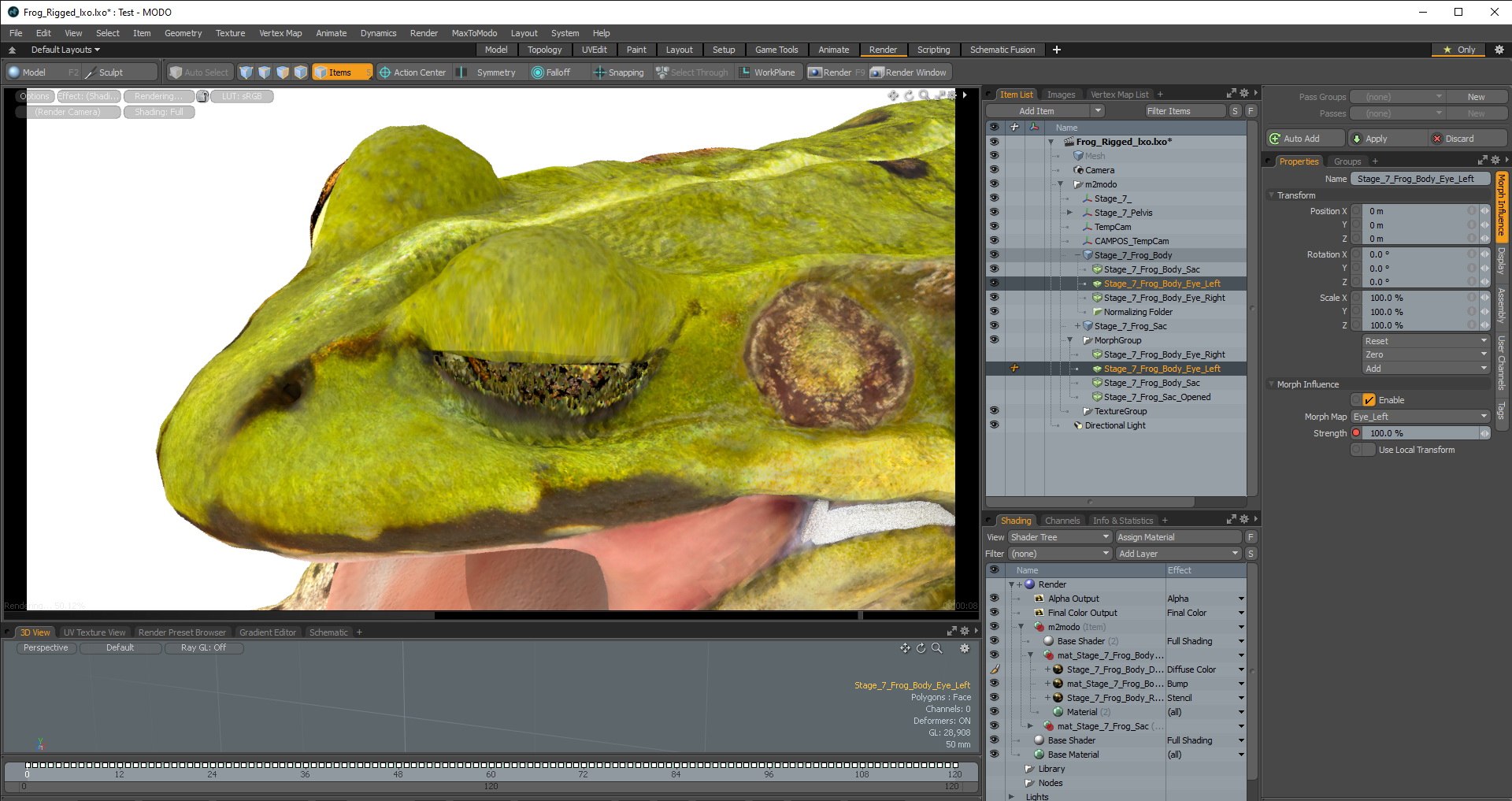 3D Frog Rigged For Modo Model - TurboSquid 1716067