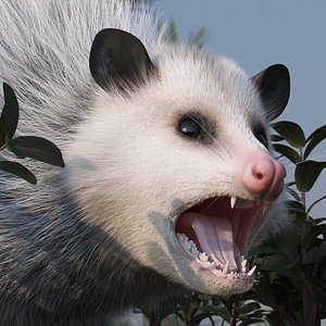 3D Animal Attack Models - Browse & Download Formats - TurboSquid