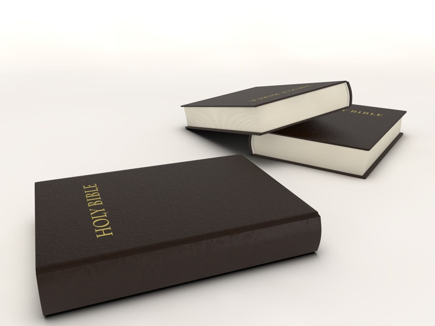 Holy Bible 3ds