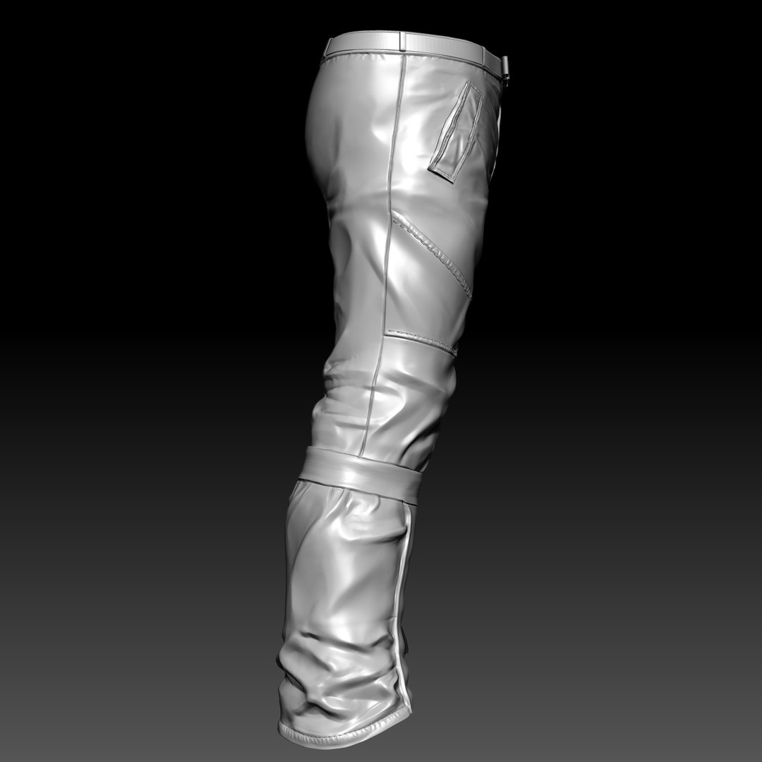Pants Zbrush 3d 3ds