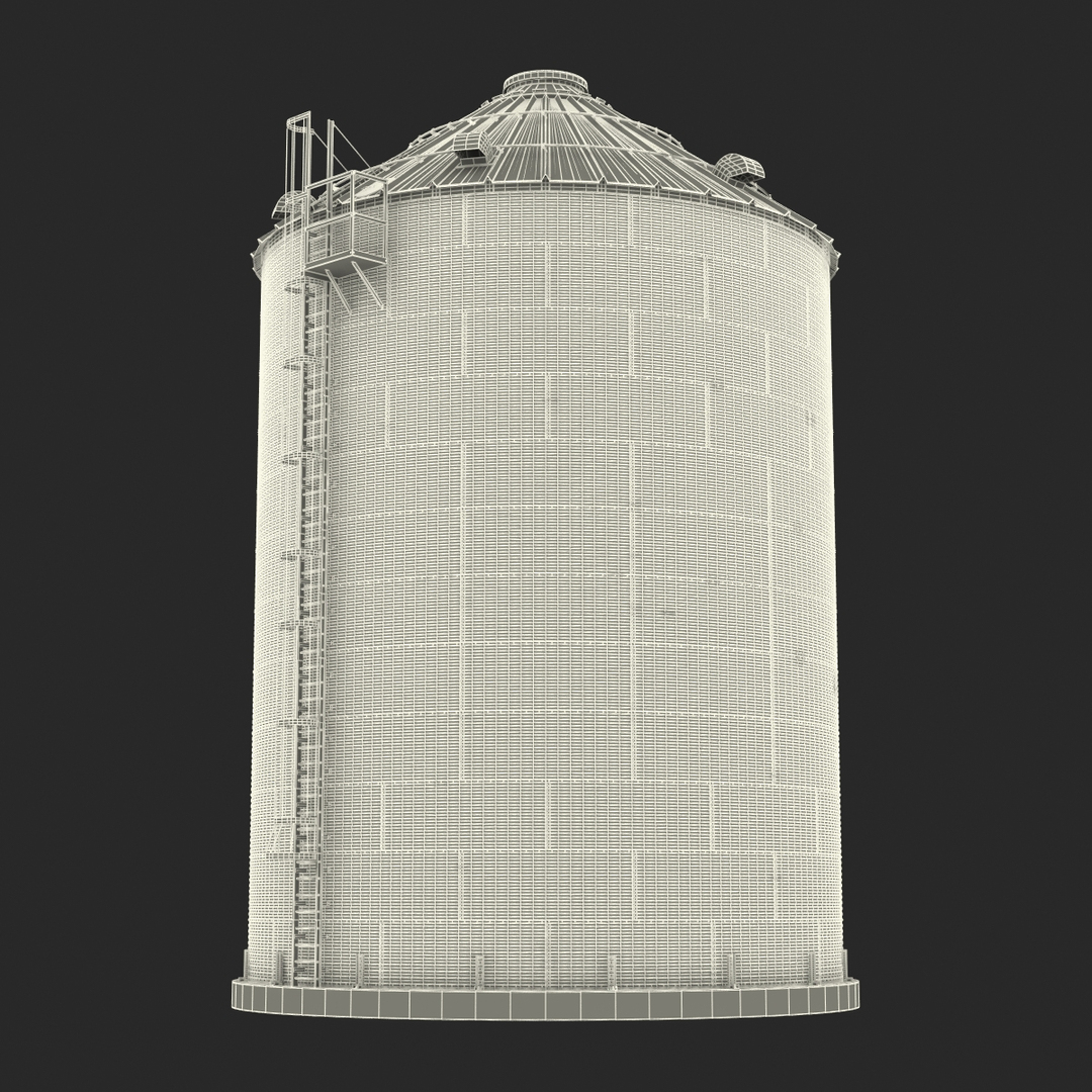 Farm Grain Storage Bin 3d Model