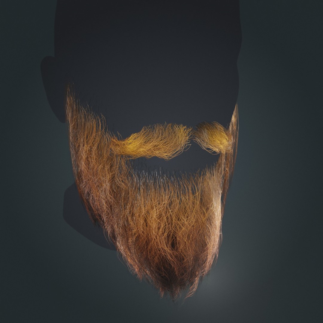 Beard RealTime 2 Version 3 3D Model - TurboSquid 1885686