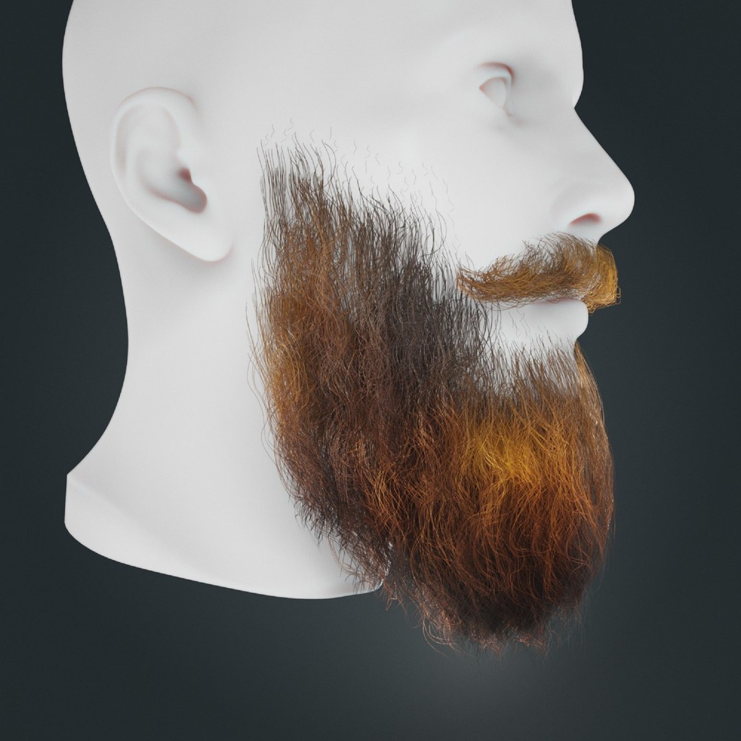 Beard RealTime 2 Version 3 3D Model - TurboSquid 1885686