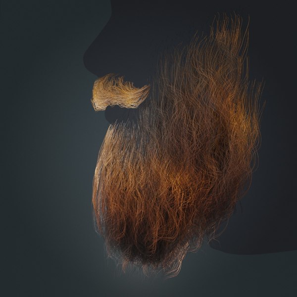 3D Beard Models | TurboSquid