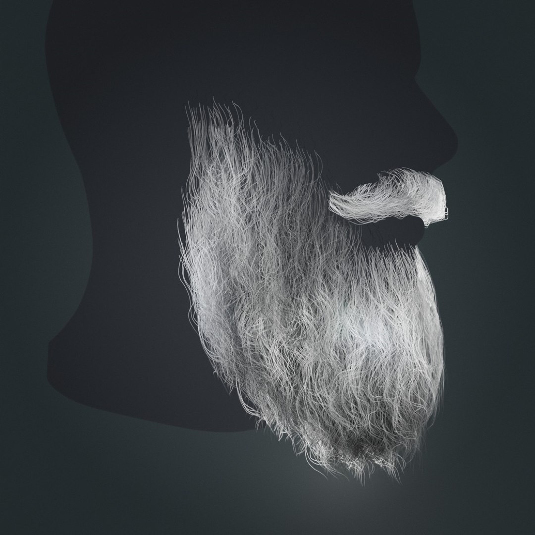 Beard RealTime 2 Version 3 3D Model - TurboSquid 1885686