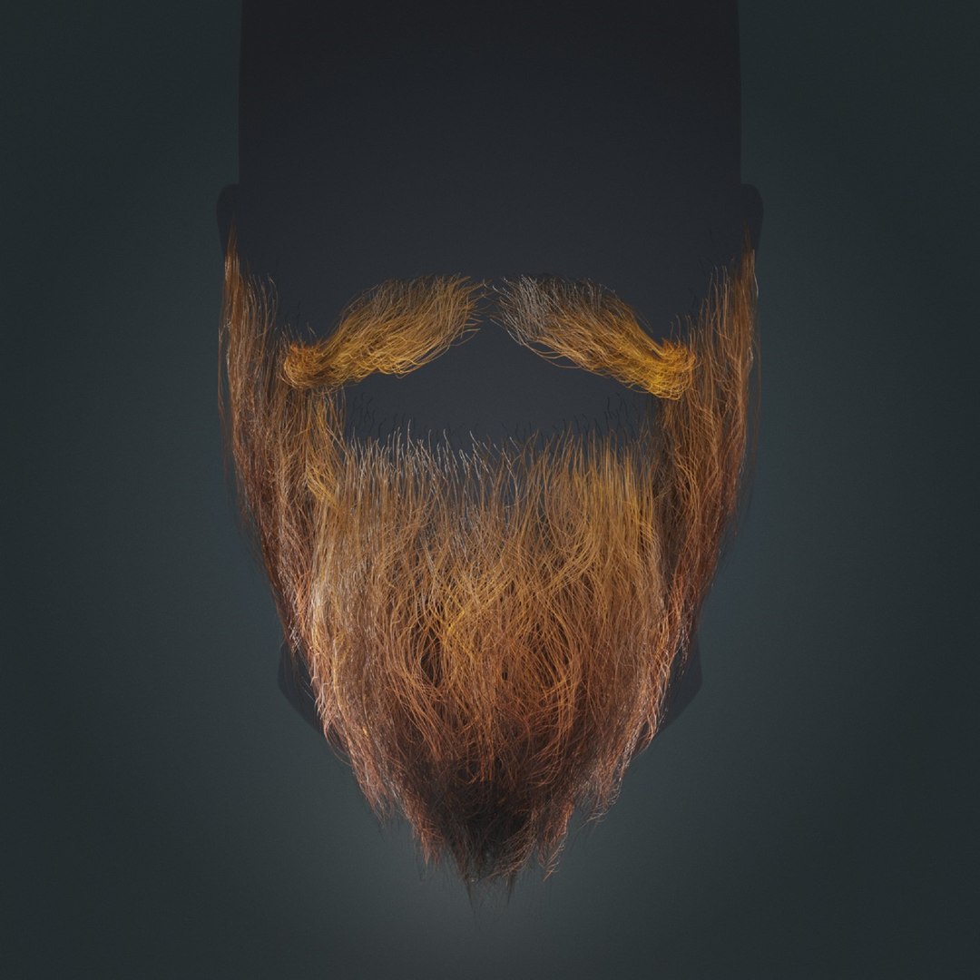 Beard RealTime 2 Version 3 3D Model - TurboSquid 1885686