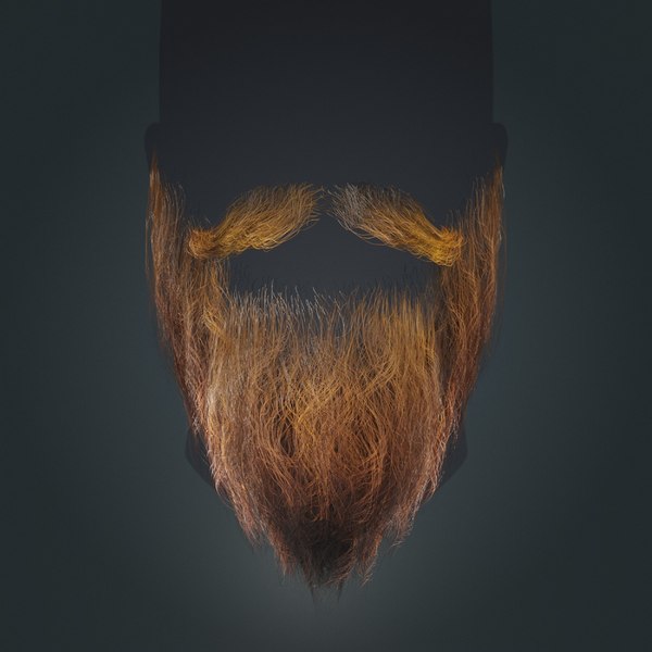 Beard RealTime 2 Version 3 3D model - TurboSquid 1885686