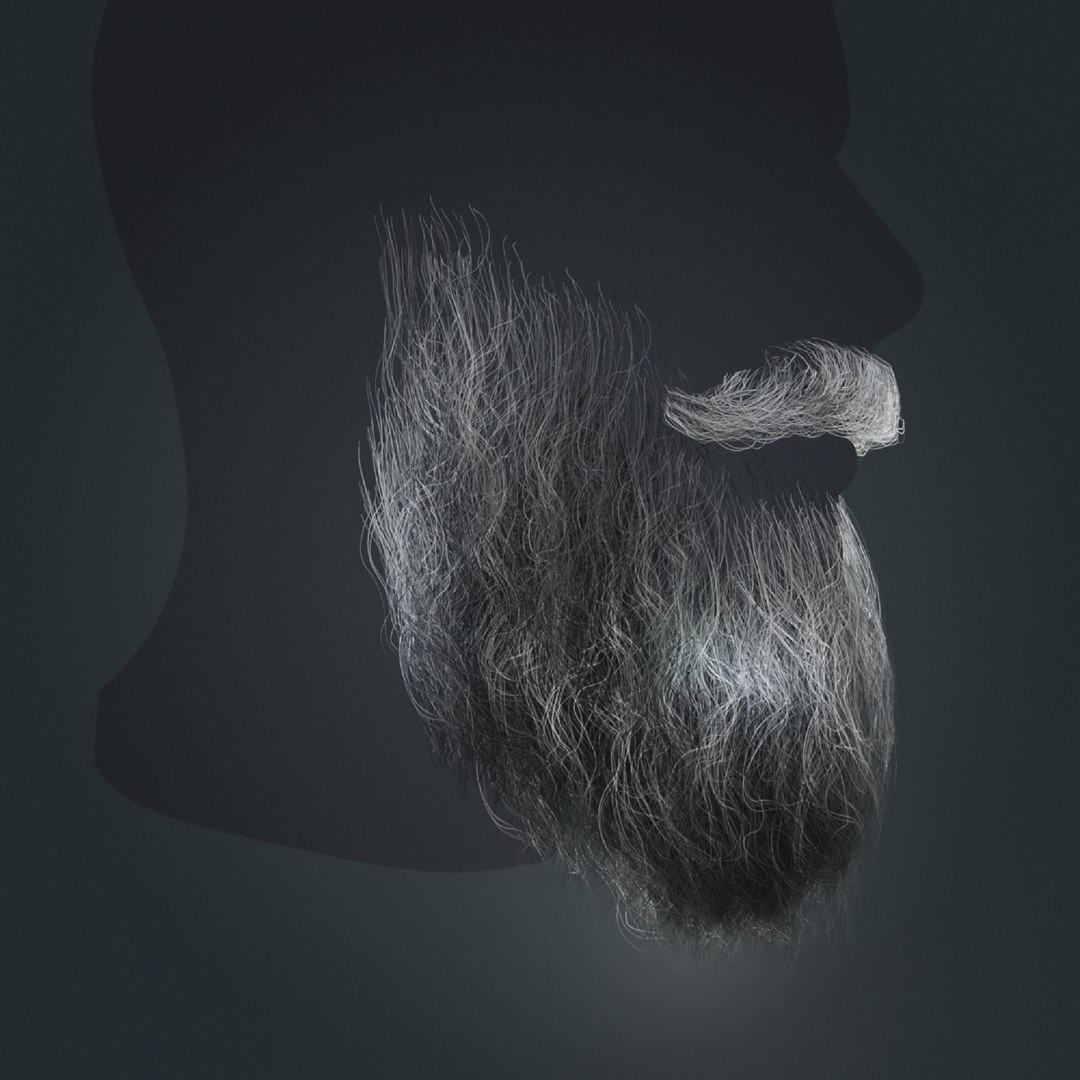 Beard RealTime 2 Version 3 3D Model - TurboSquid 1885686