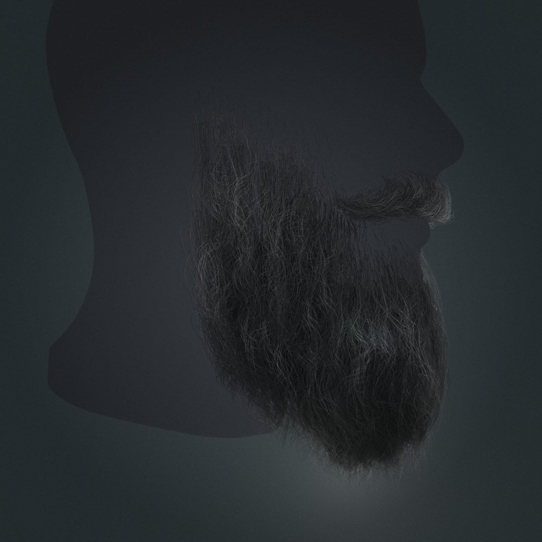 Beard RealTime 2 Version 3 3D Model - TurboSquid 1885686
