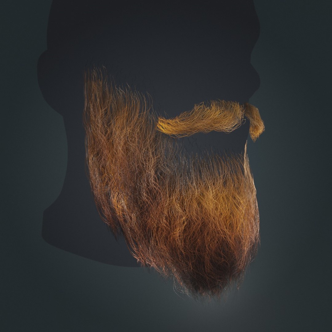 Beard RealTime 2 Version 3 3D Model - TurboSquid 1885686