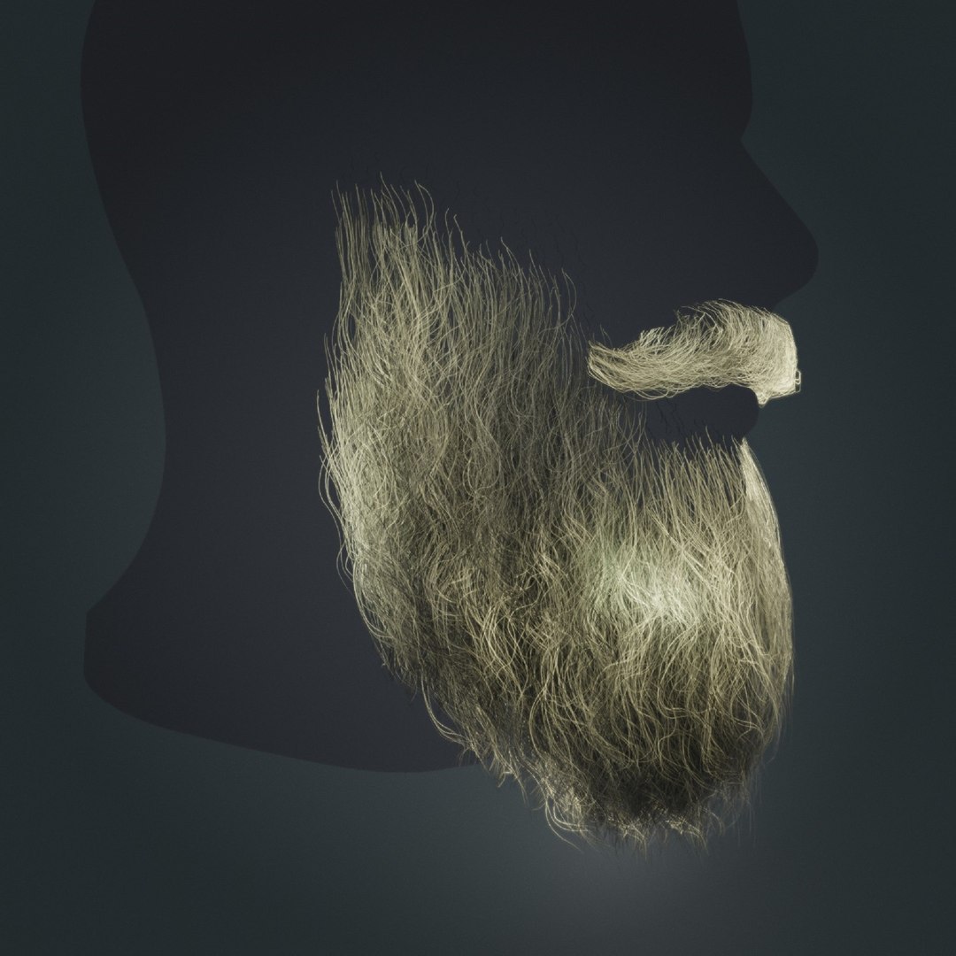 Beard RealTime 2 Version 3 3D Model - TurboSquid 1885686