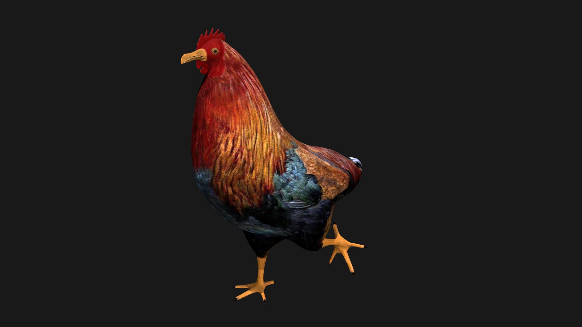 Chicken rigged 3D model - TurboSquid 1664704