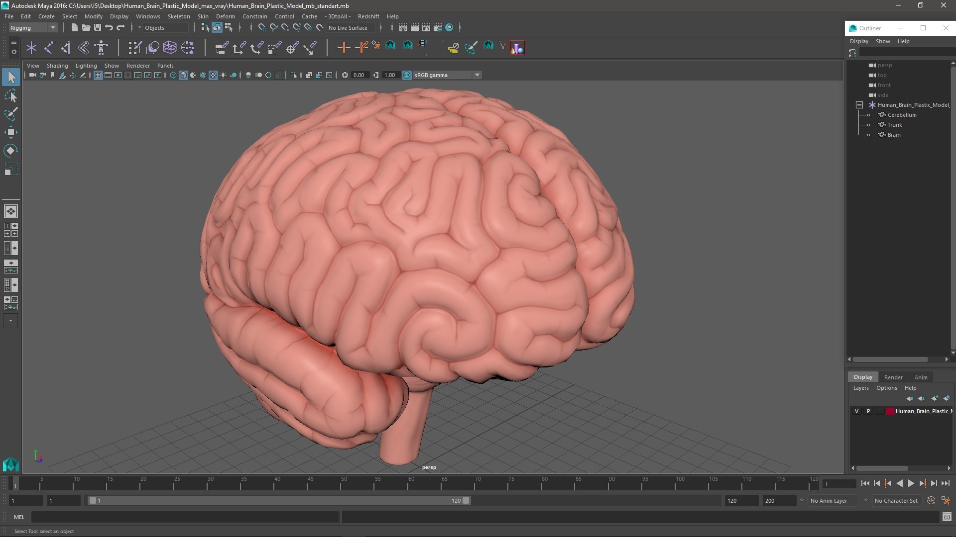 Human Brain Plastic Model For 3D Print 3D Model - TurboSquid 2285077