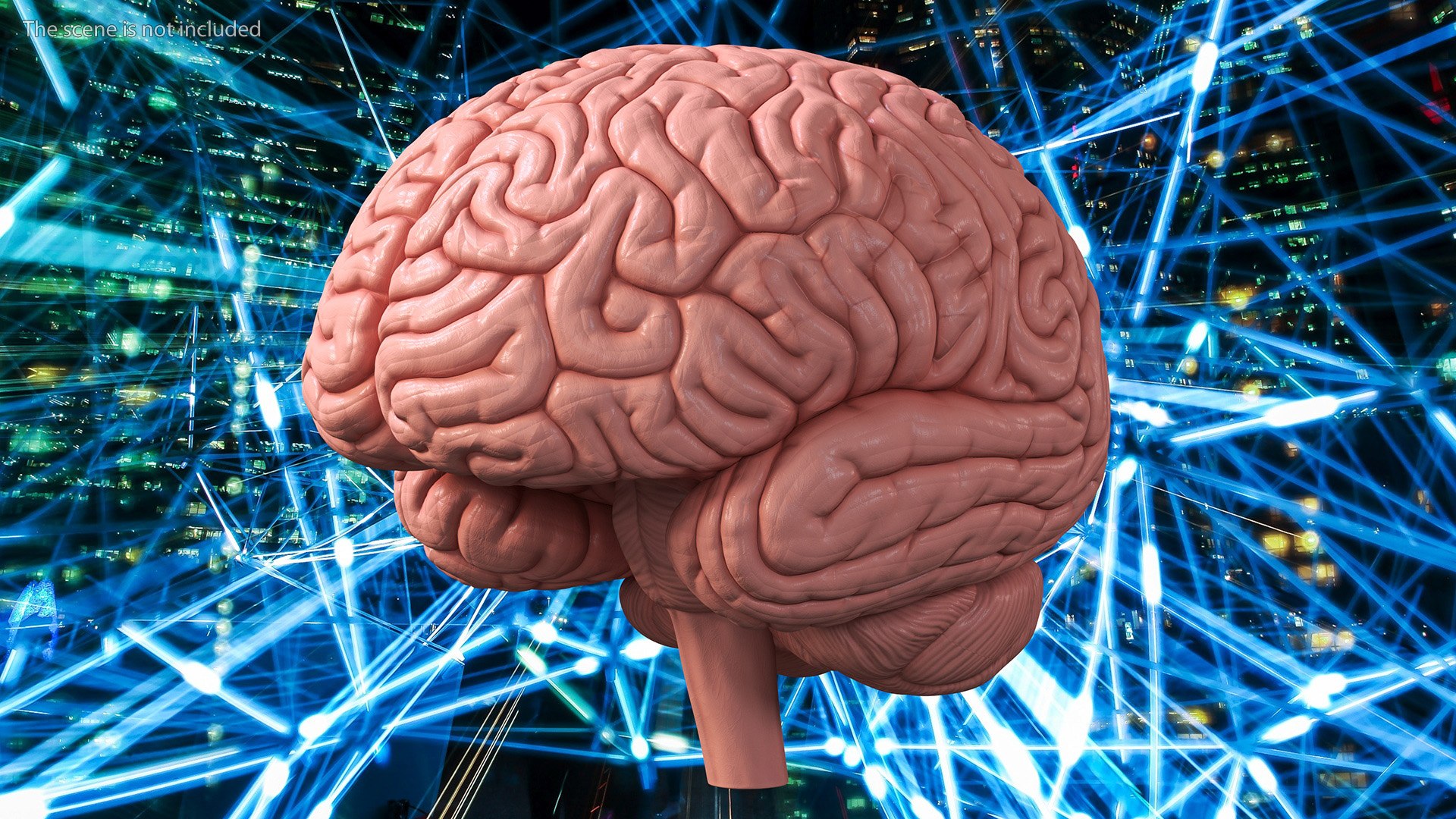 Human Brain Plastic Model For 3D Print 3D Model - TurboSquid 2285077