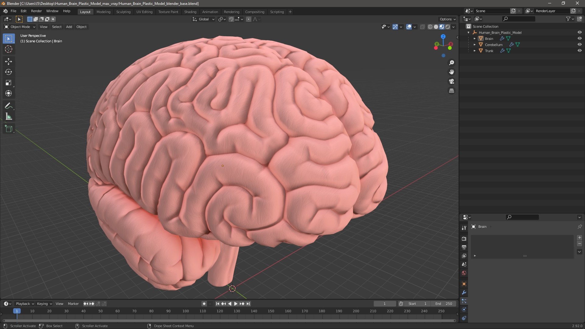 Human Brain Plastic Model For 3D Print 3D Model - TurboSquid 2285077