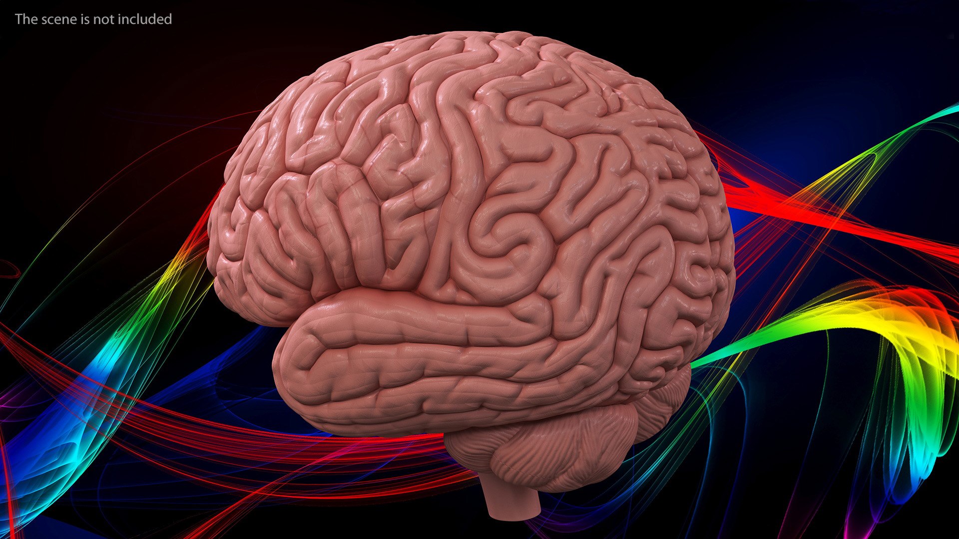 Human Brain Plastic Model For 3D Print 3D Model - TurboSquid 2285077
