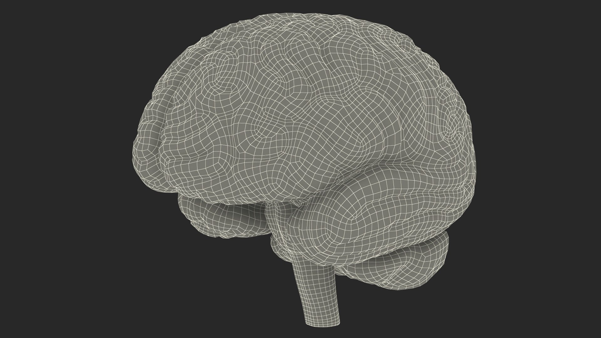 Human Brain Plastic Model For 3D Print 3D Model - TurboSquid 2285077
