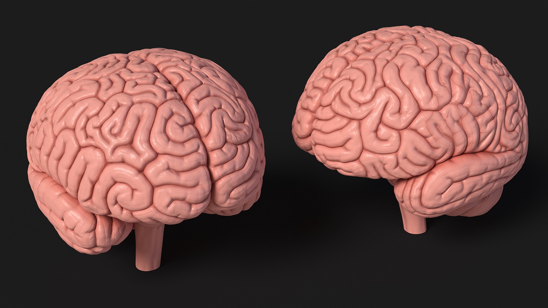 Human Brain Plastic Model For 3D Print 3D Model - TurboSquid 2285077