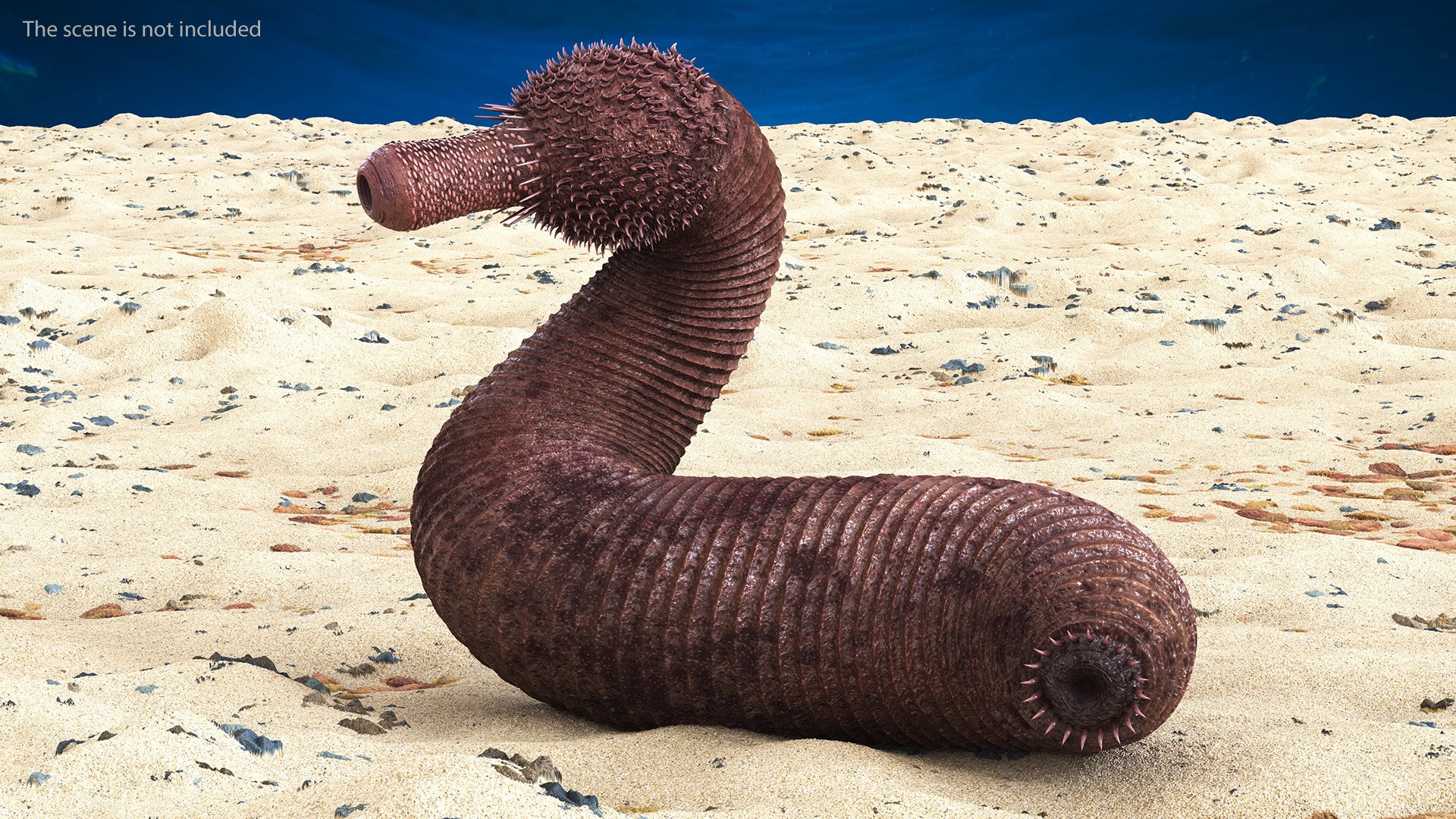 3D Ottoia Relict Marine Worm Rigged For Cinema 4D Model - TurboSquid ...