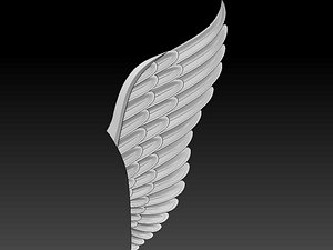 Wing 3D Models for Download | TurboSquid