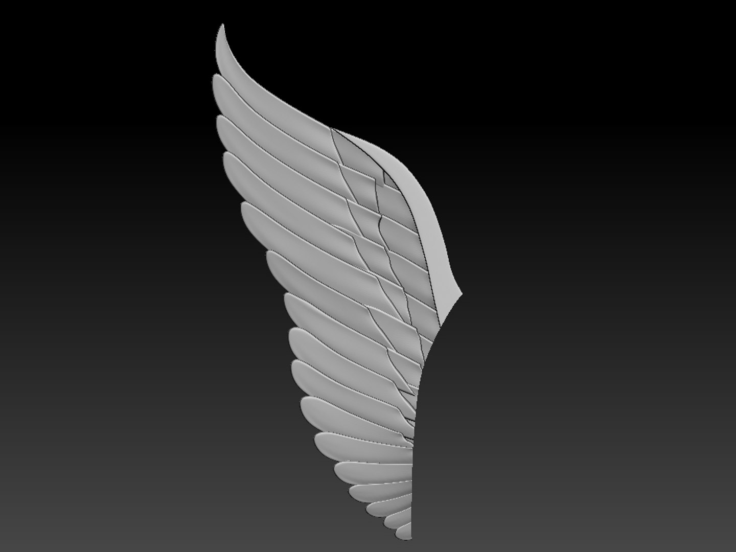 3D Wing Cnc - TurboSquid 1617963