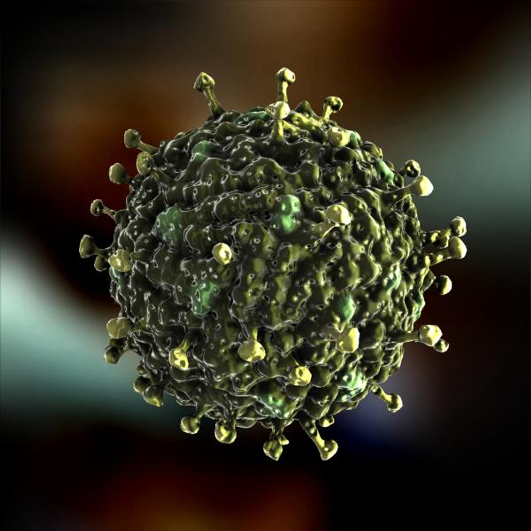 3d pneumovirus model