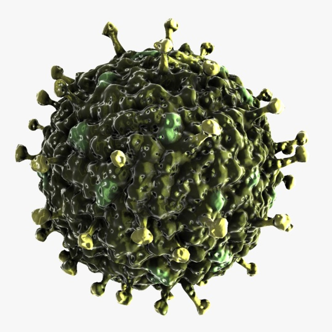 3d pneumovirus model