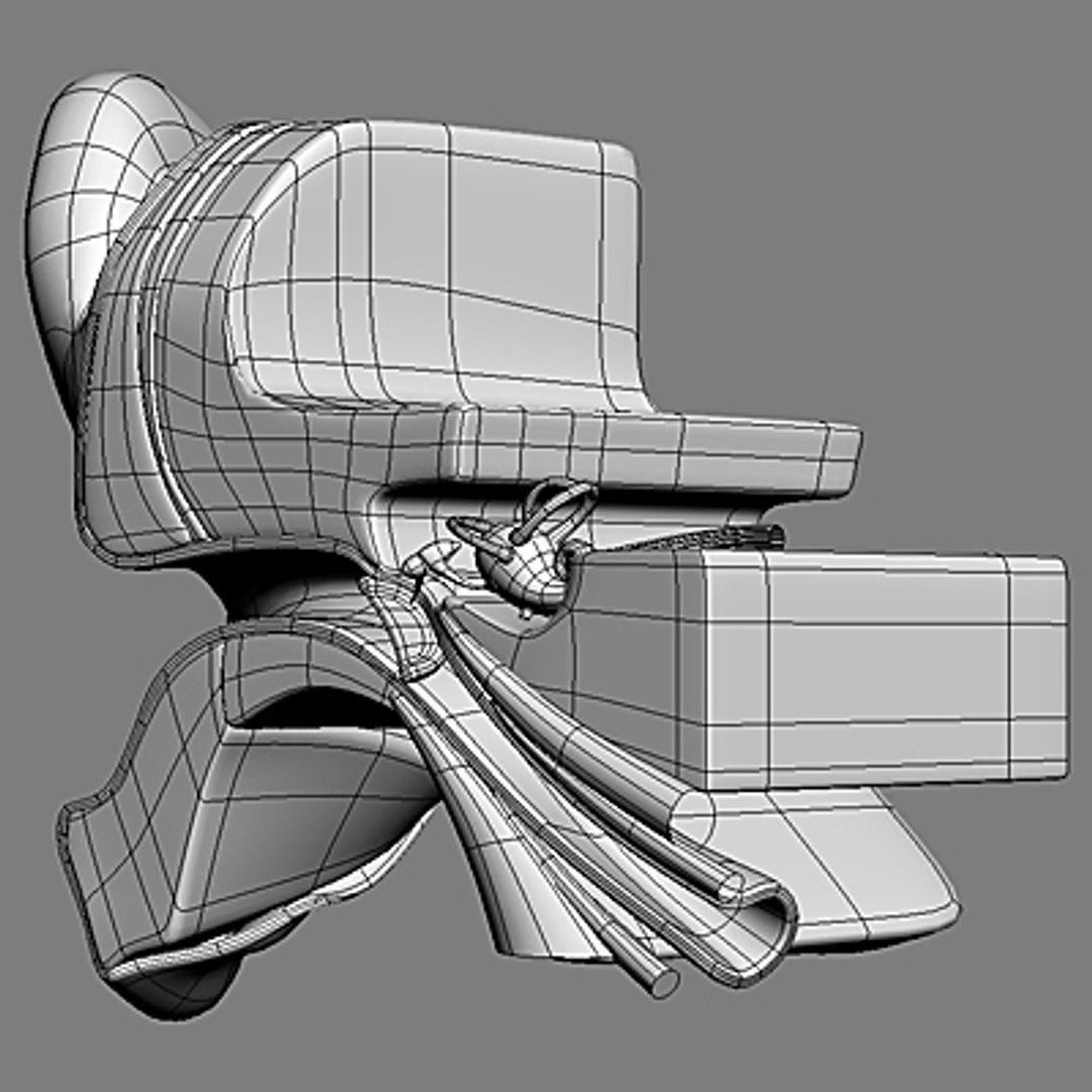 3d Inner Ear Section Model
