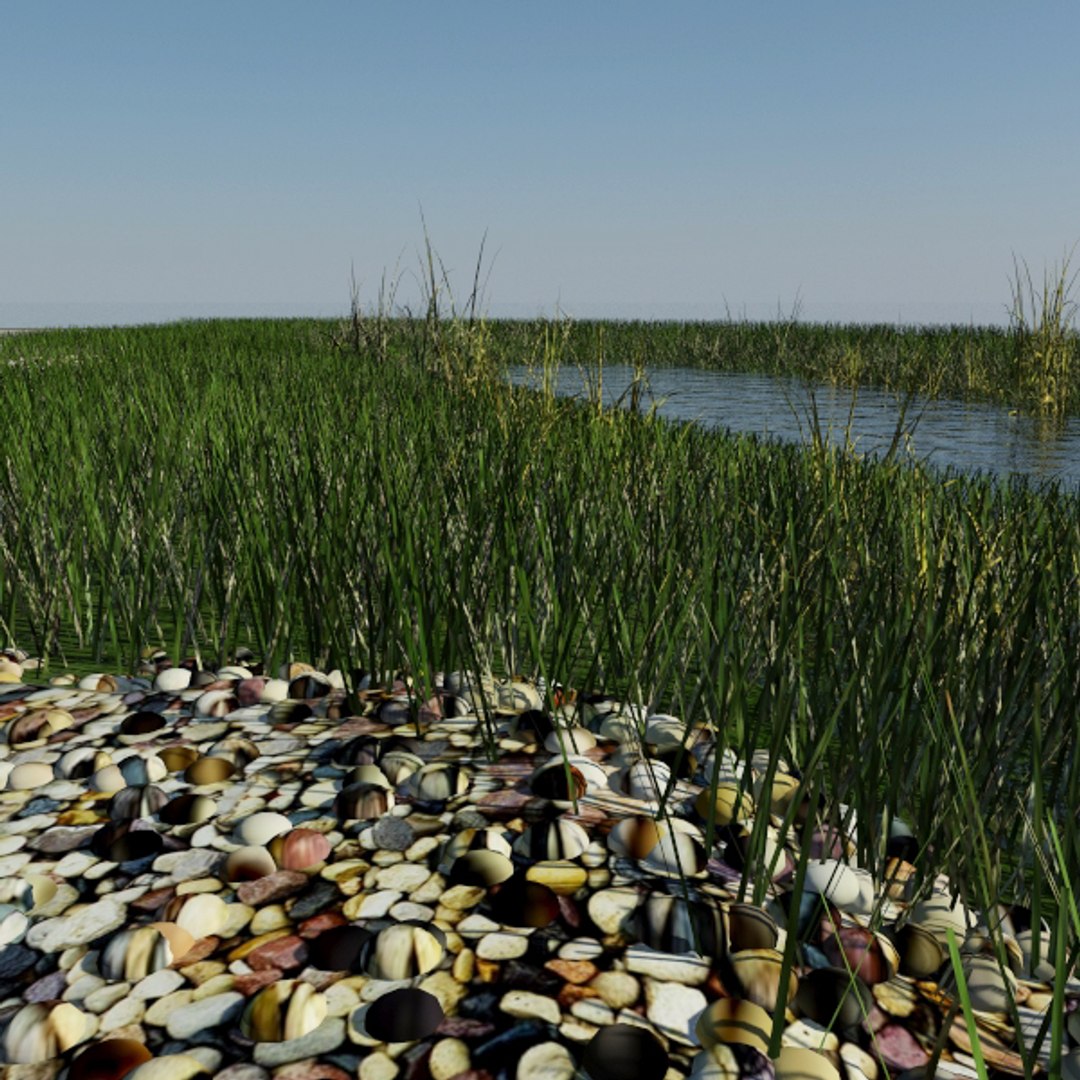 3d Model Pond - Lake