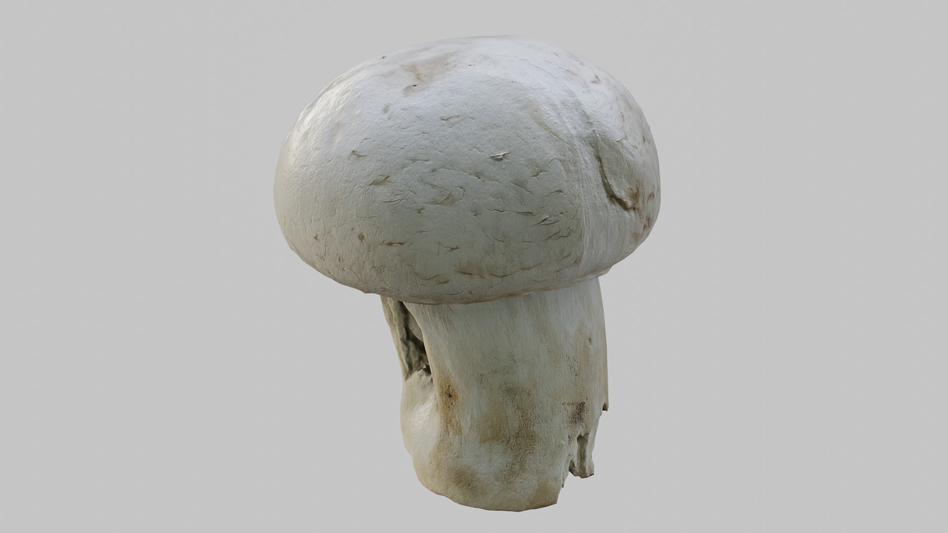3D Champignon Mushroom 01 - TurboSquid 2047434