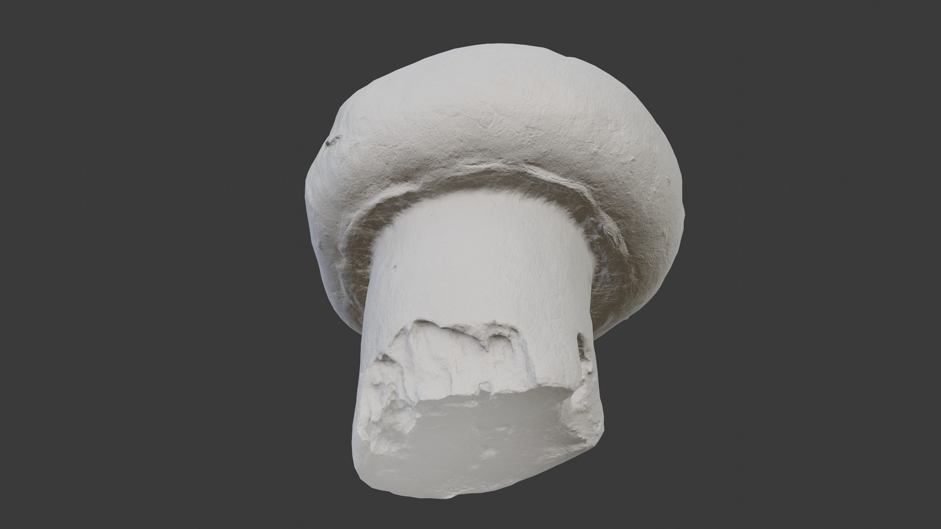 3D Champignon Mushroom 01 - TurboSquid 2047434
