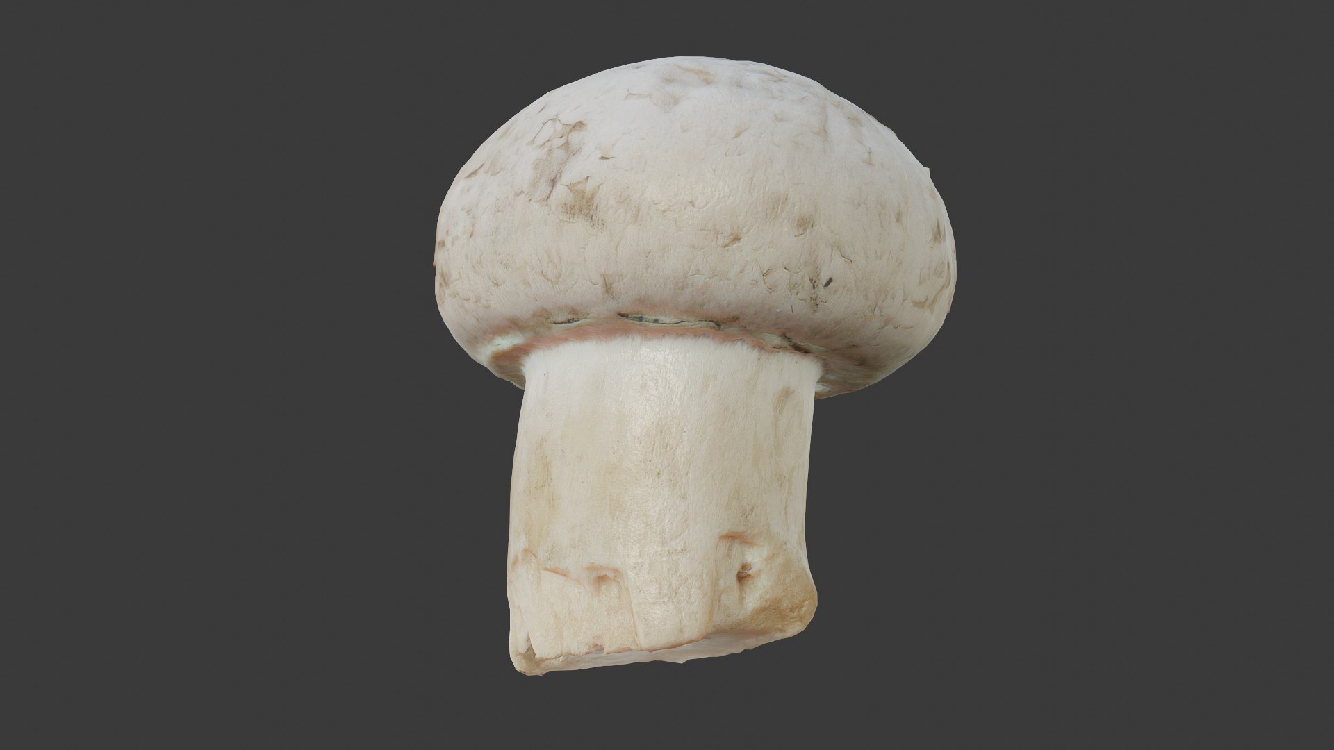3d White Button Mushroom 01 Turbosquid 2047434