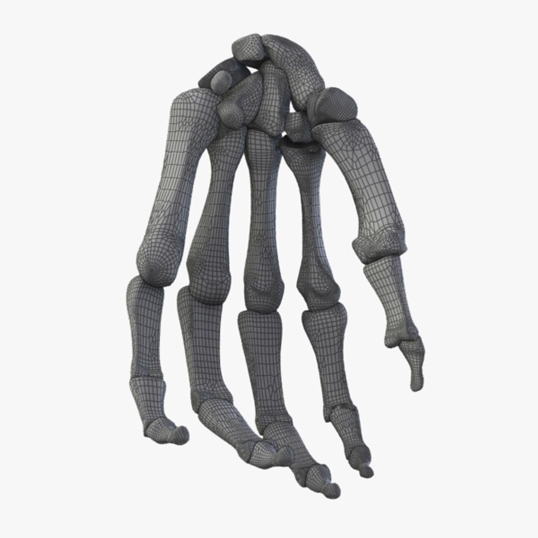 3d Human Bone Hand