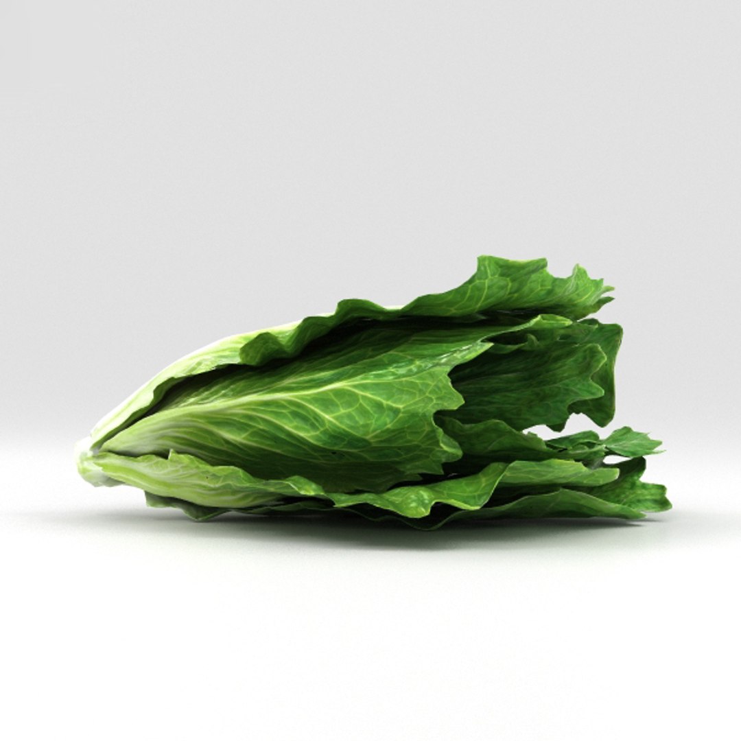 3D model lettuce vegetable food - TurboSquid 1348782