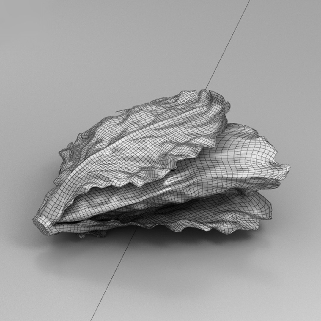 3D model lettuce vegetable food - TurboSquid 1348782