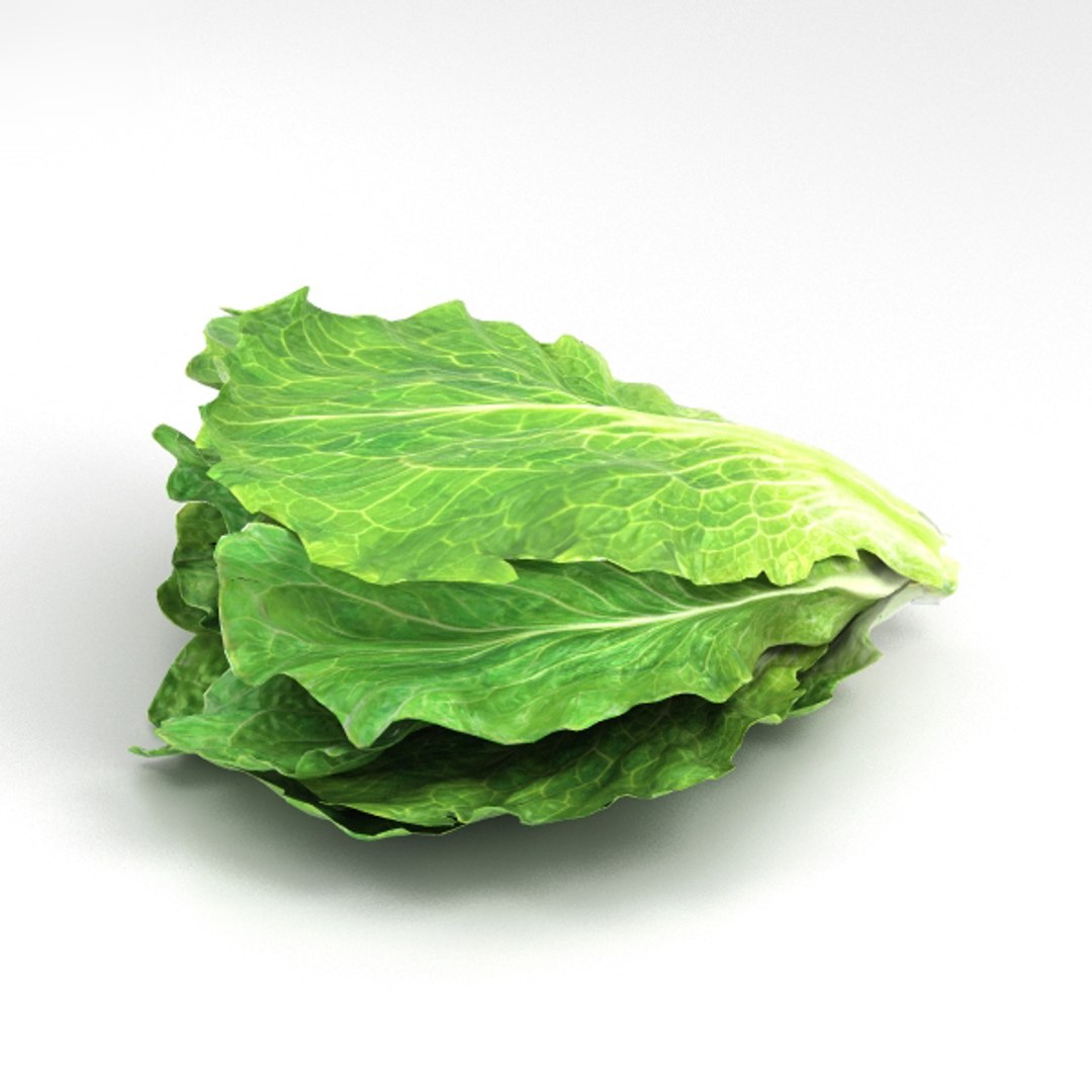 3D model lettuce vegetable food - TurboSquid 1348782