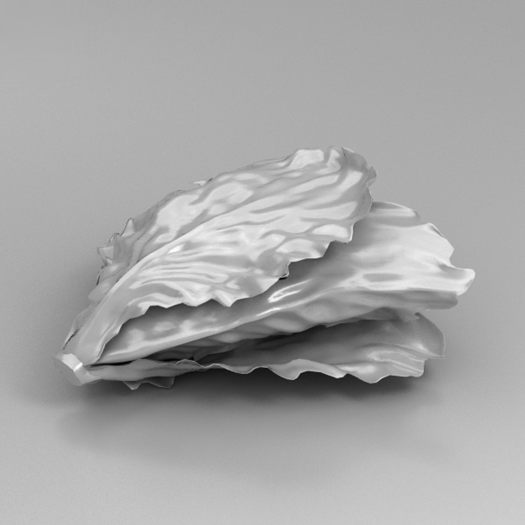 3D model lettuce vegetable food - TurboSquid 1348782